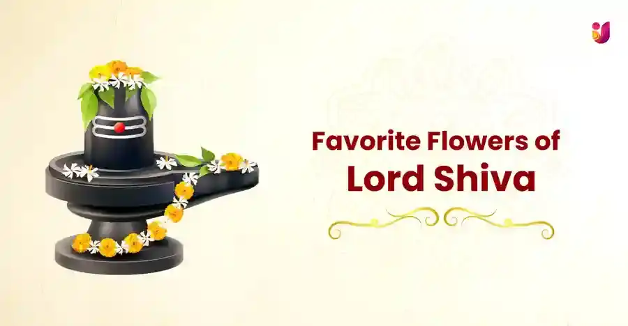 Favourite Flowers of Lord Shiva: A Guide to Offering the Most Auspicio